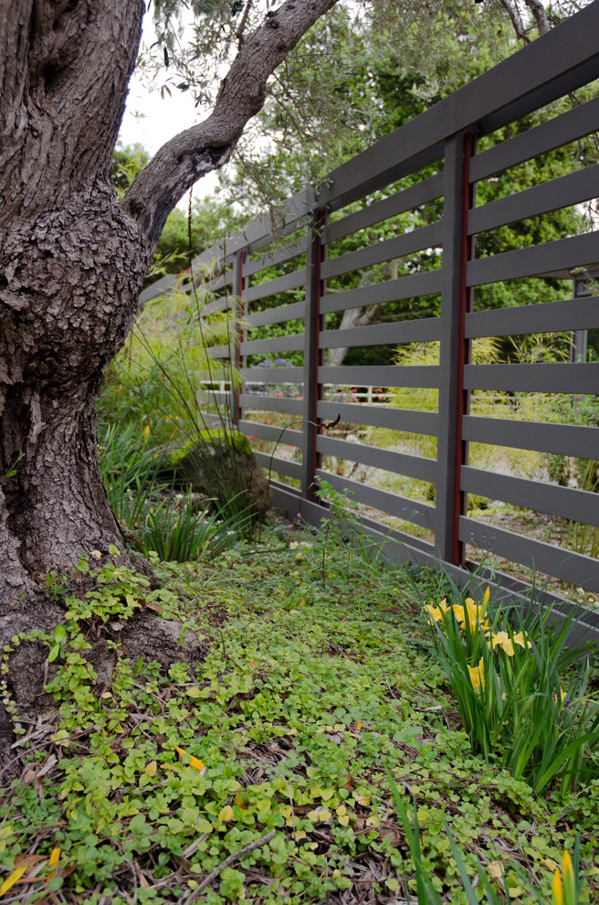 Garden for a modern house - Modern - Landscape - San Francisco - by ...
