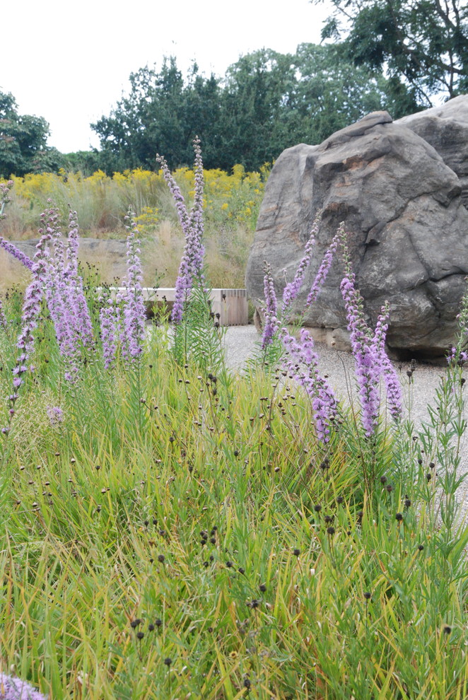 Garden Tour - Exploring Natives at the New York Botanical Garden ...