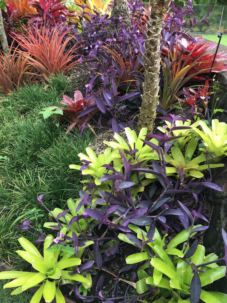 Gardens of Hawaii - Tropical - Landscape - Hawaii - by Stephen Haus ...