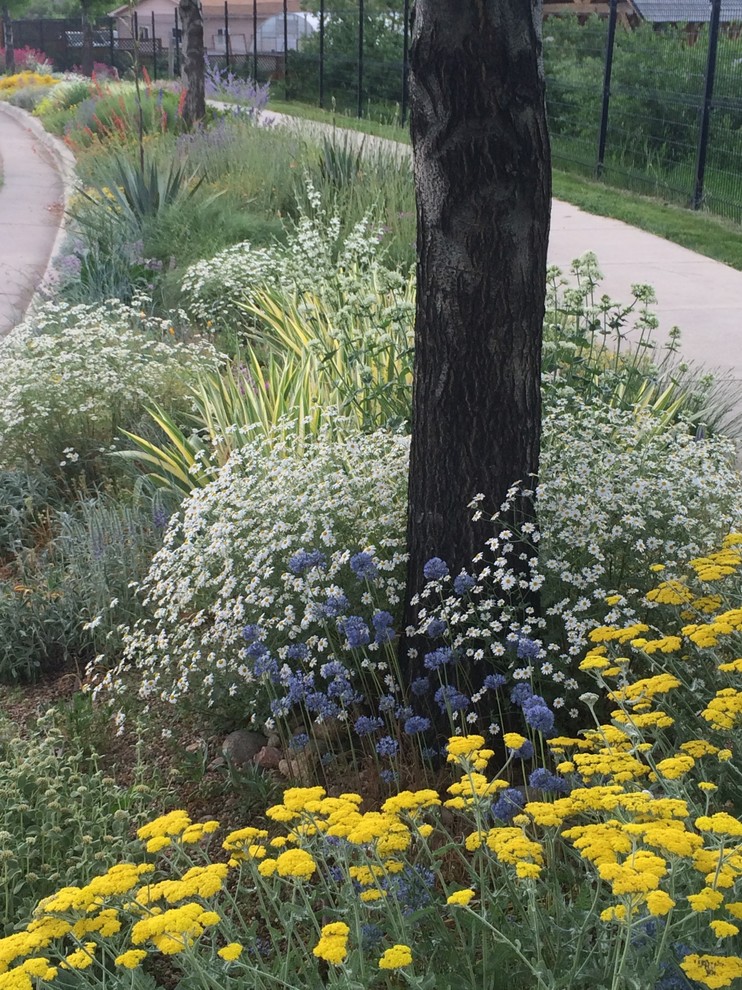 Gardens on Spring Creek hellstrip - Landscape - Denver - by Lauren ...