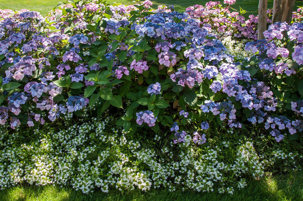 Georgica Pond Estate, East Hampton - Traditional - Landscape - New York ...