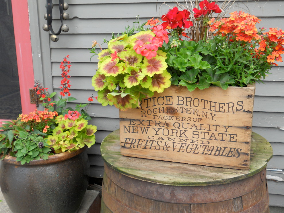 Geraniums - Traditional - Landscape - Burlington - by Paintbox Garden ...