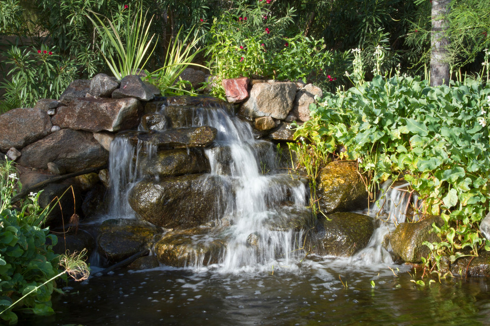 Ghandi - Eclectic - Landscape - Phoenix - by The Pond Gnome | Houzz