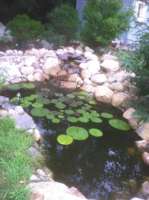 Goldfish Pond & Waterfall Build - Asian - Garden - Boston - by Harmon ...