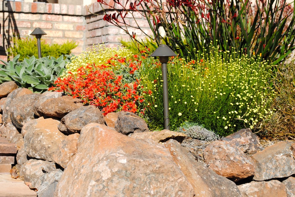 Good bye lawn, hello color! - Rustic - Landscape - San Francisco - by ...