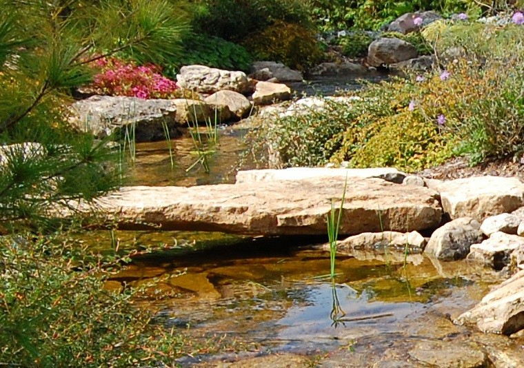 Gore Road - Traditional - Landscape - Toronto - by Earthscape ...