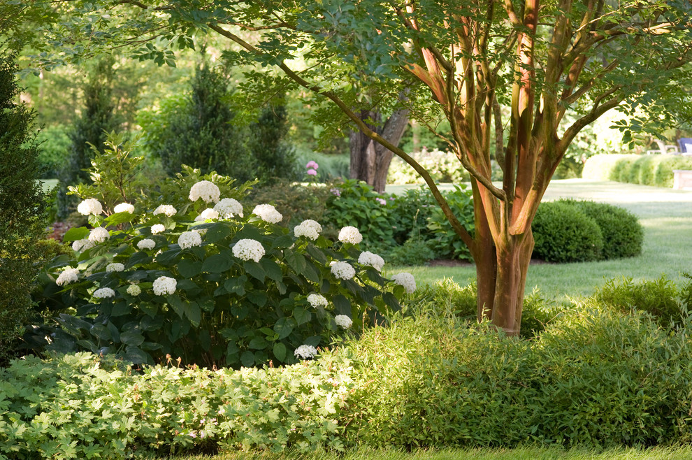 Gorgeous outdoor Retreat - Rustic - Landscape - Baltimore - by TDH ...