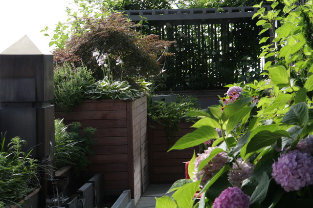 Gotham Rooftop - Modern - Garden - Jacksonville - by ...