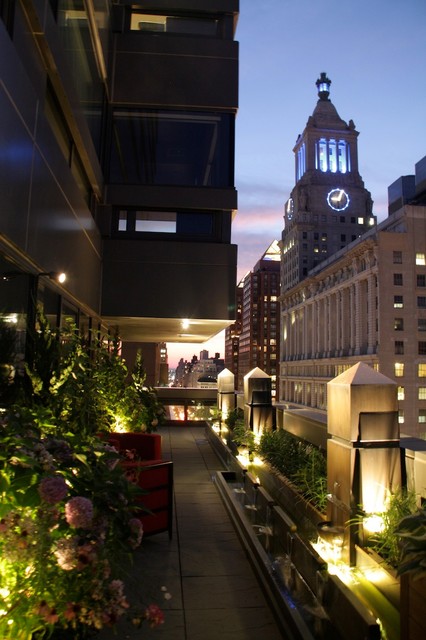 Gotham Rooftop - Moderne - Jardin - Jacksonville - par TEMPLE VINES | Houzz