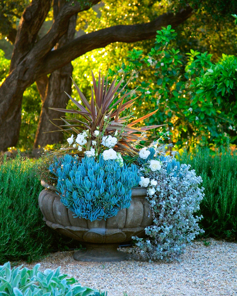 Grace Design Associates - Traditional - Landscape - Santa Barbara - by ...