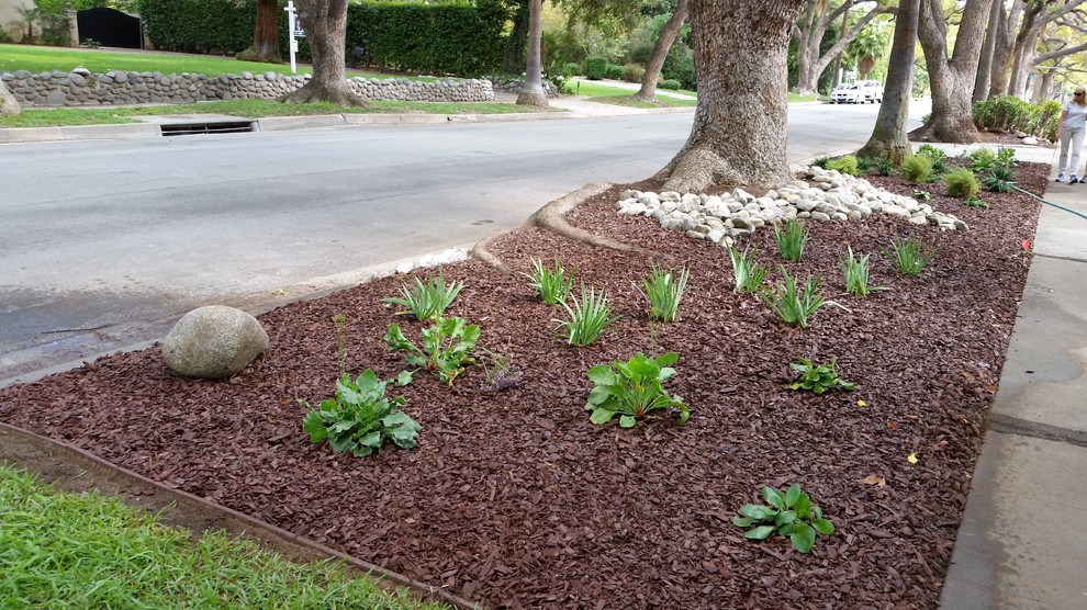 Graceful Drought Tolerant Parkway - Modern - Landscape - Los Angeles ...