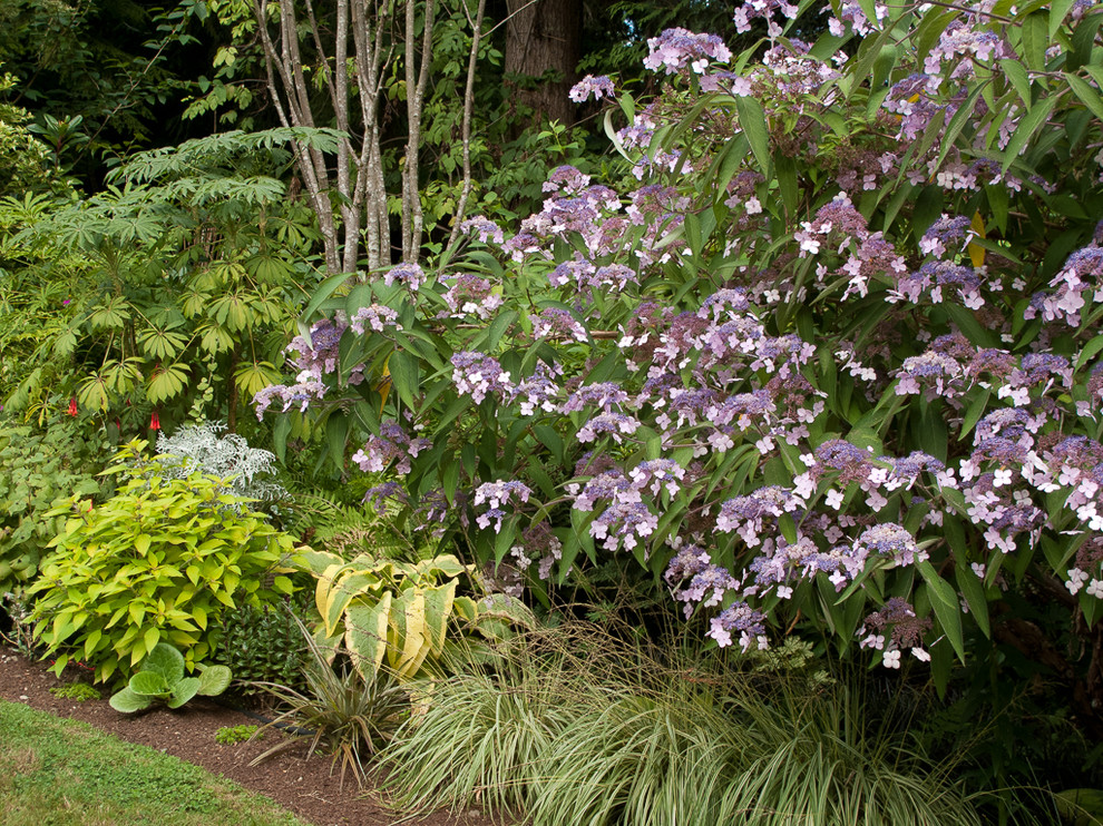 Great Design Plants - Landscape - Seattle - by Le jardinet | Houzz
