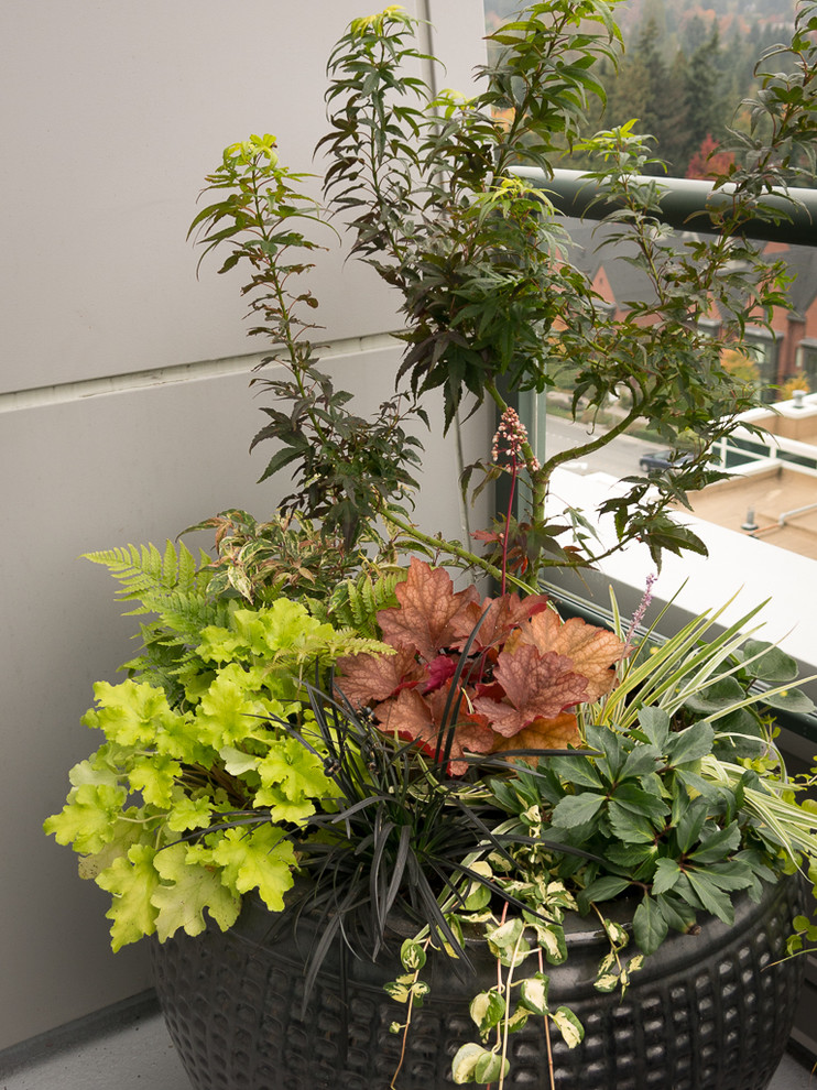 Great Design Plants - Traditional - Landscape - Seattle - by Le ...