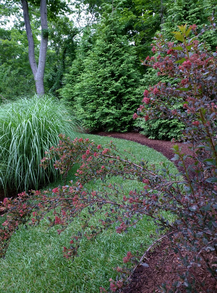 Green Giant Arborvitae - Traditional - Landscape - Bridgeport - by ...