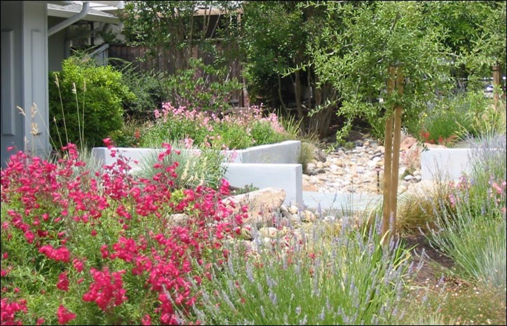 Green - Contemporary - Landscape - San Francisco - by Huettl Landscape ...