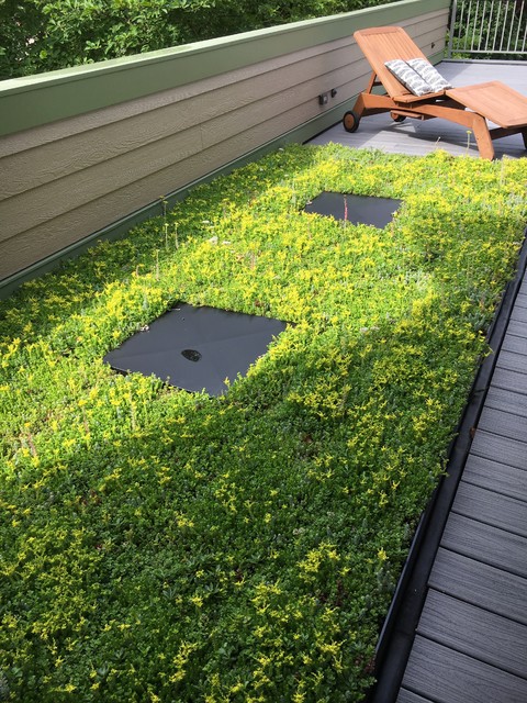 Green Roof - Jardin - Autres périmètres - par TerraGreen | Houzz