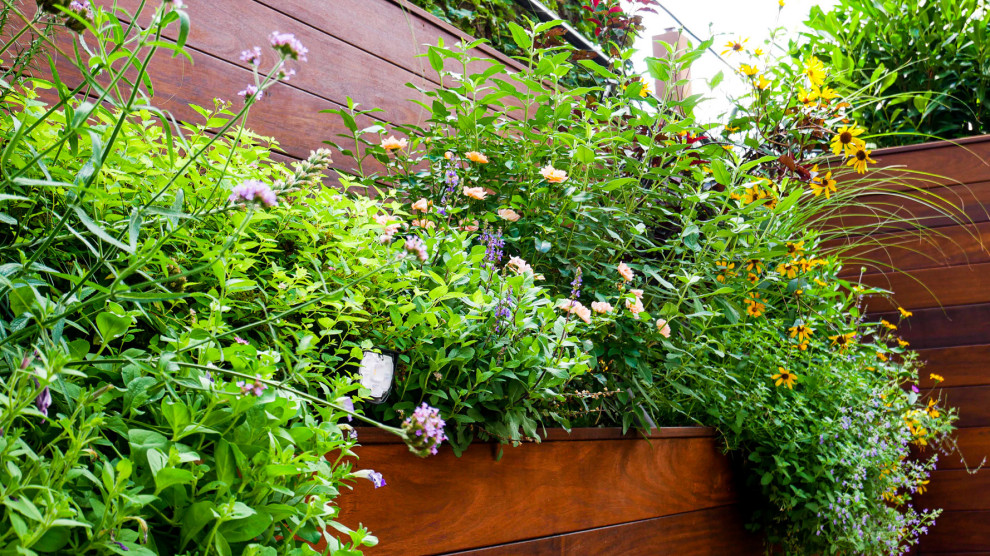 Greenpoint Secret Garden - Contemporary - Landscape - New York - by ...