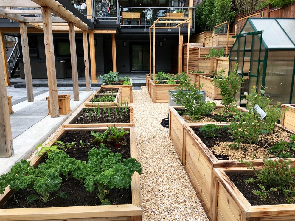 Grow zone vegetable garden in action - Modern - Landscape - Vancouver ...