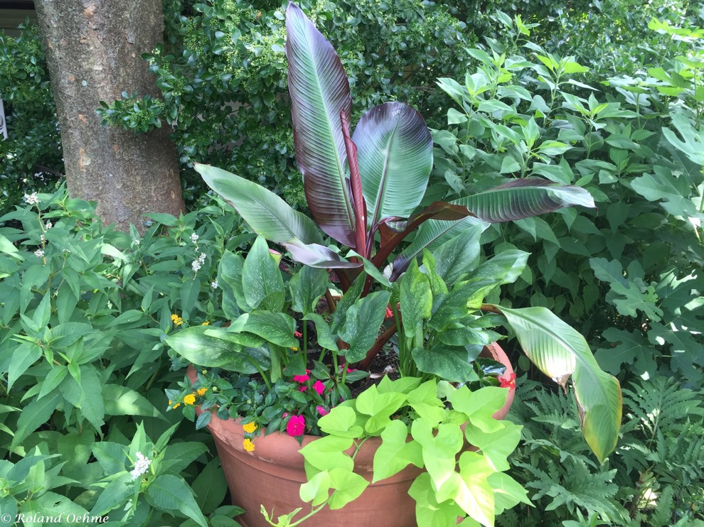 Half-Acre Garden in Towson, MD - Contemporary - Landscape - Baltimore ...