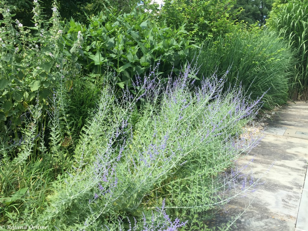 Half-Acre Garden in Towson, MD - Contemporary - Landscape - Baltimore ...