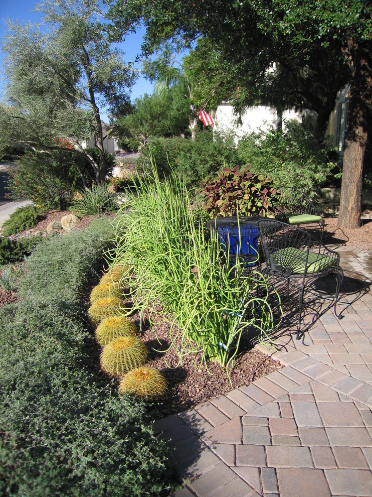 Happy Together! Colorful Desert Plant Combinations - Modern - Landscape ...