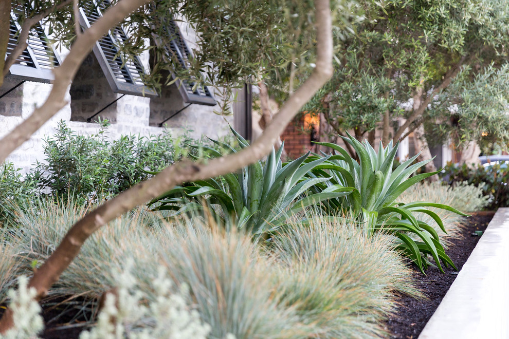 Harbor View Hills 3 - Landscape - Orange County - by Garden Studio | Houzz