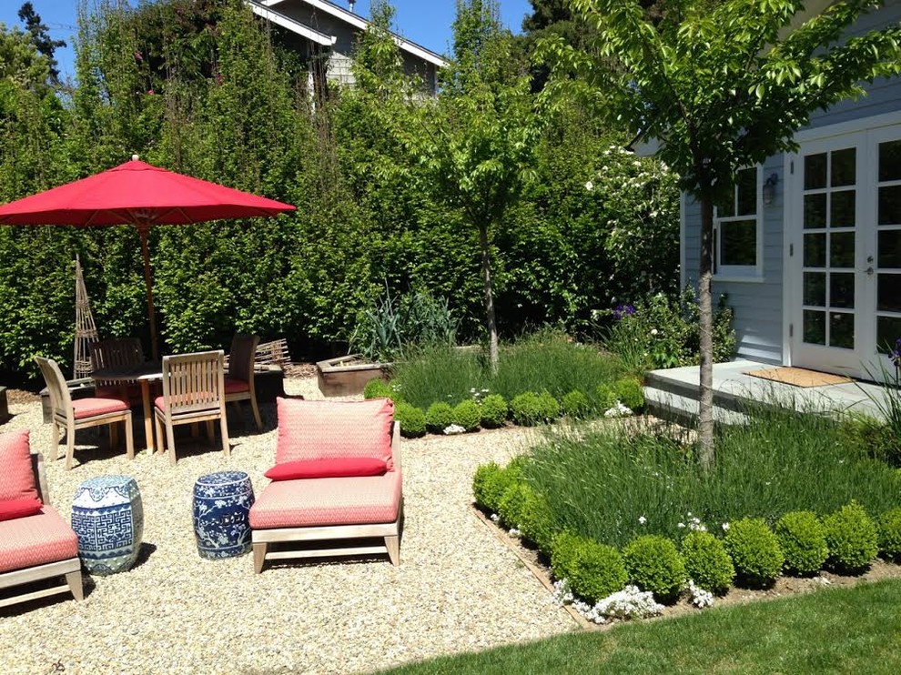 Screening trees - Traditional - Landscape - San Francisco - by Heaven ...