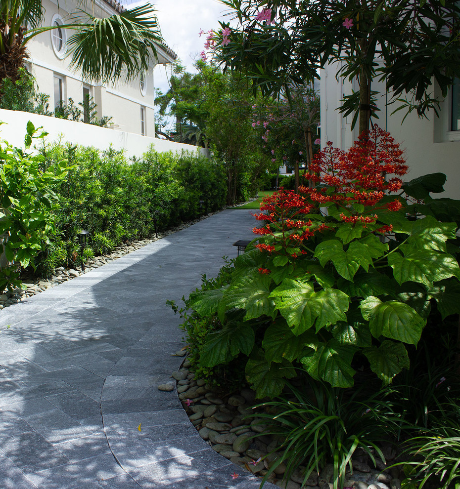 Hedge hug - Traditional - Landscape - Miami - by The Mirror of Paradise ...