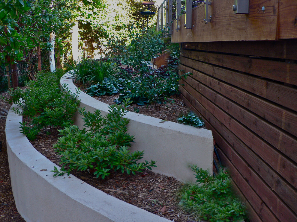 Hid the unsightly area below the deck - Contemporary - Landscape - San ...