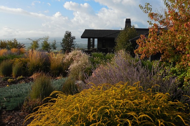 High Desert Landscape Design 24 Stunning Desert Landscaping Ideas