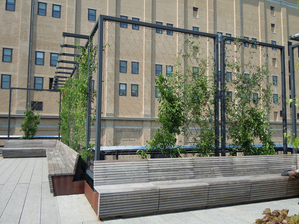 High Line - Modern - Landscape - Los Angeles - by Natalie Myers | Houzz