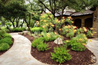 Hill Country Landscaping - Traditional - Landscape - Austin - by Austin ...