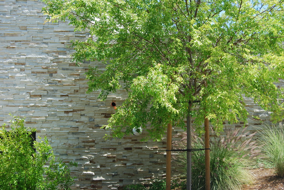 Hillsborough house 1 - Traditional - Landscape - San Francisco - by ...