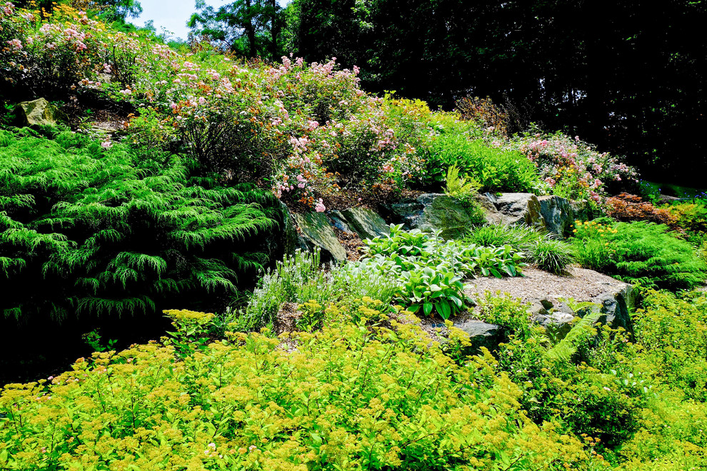 Hillside Beautification - Contemporary - Landscape - New York - by ...