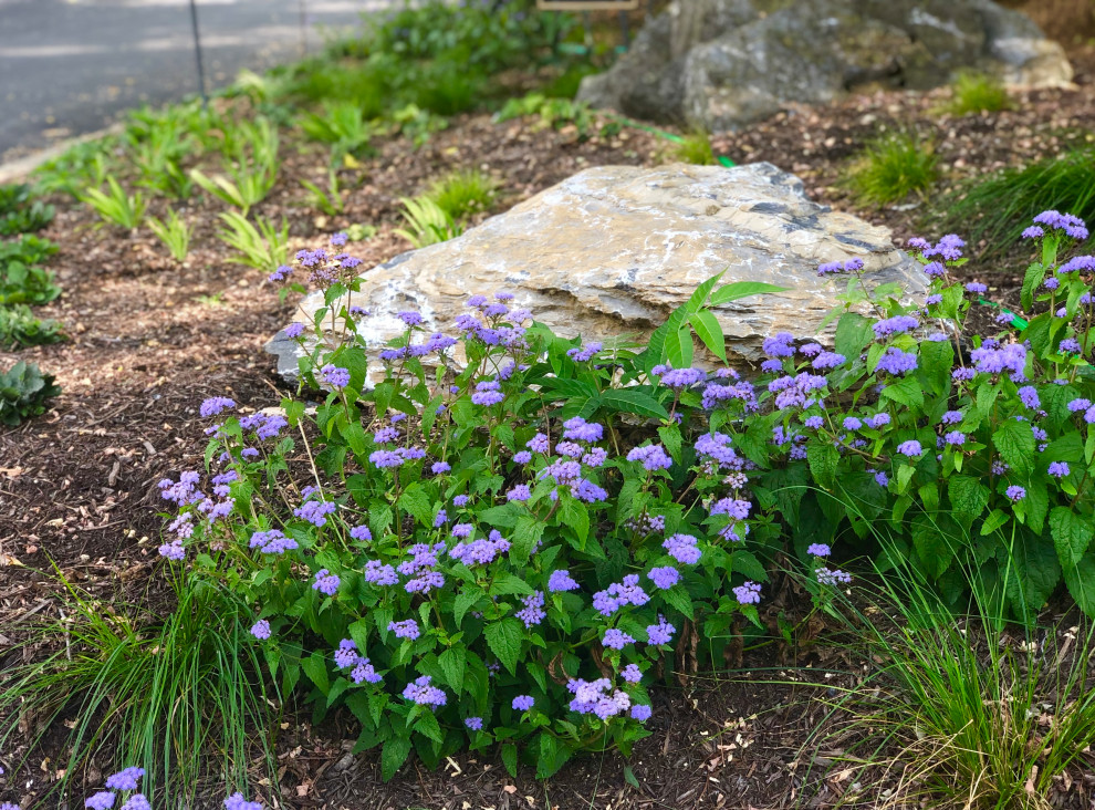 Hillside House - Rustic - Landscape - Other - by Ruth Consoli Design ...