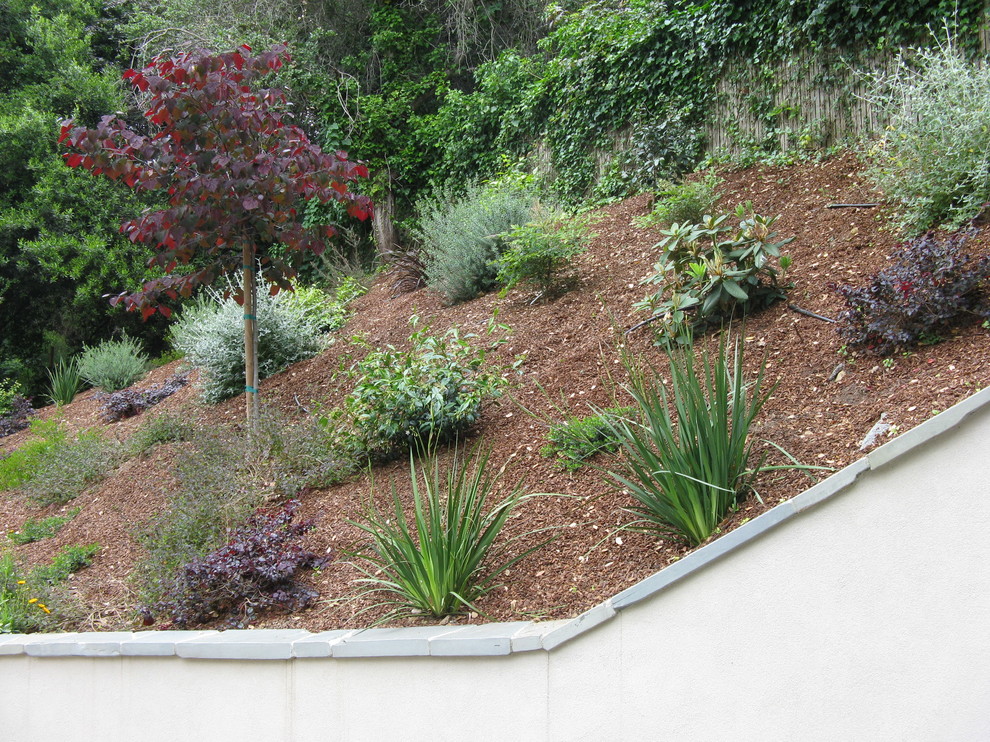 Hillside Layers - Rustikal - Garten - San Francisco - von SW Design | Houzz