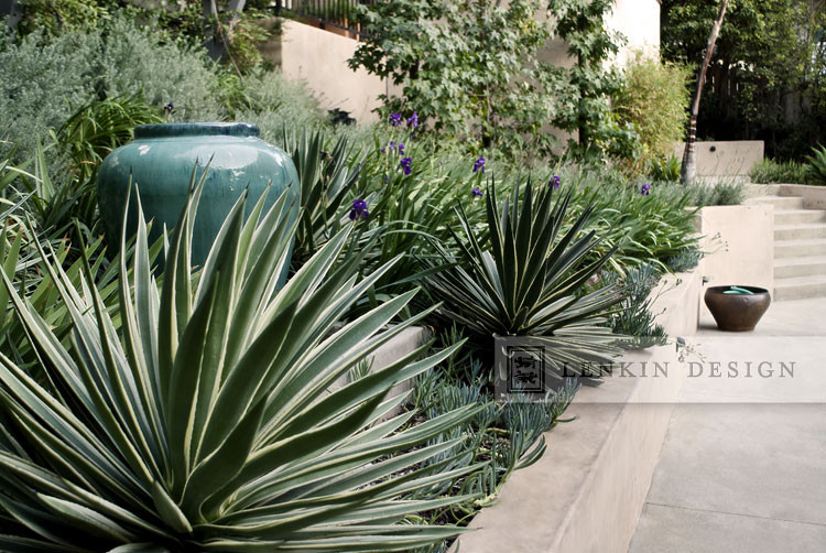 Hillside Planting and Walls - Contemporary - Landscape - Los Angeles ...