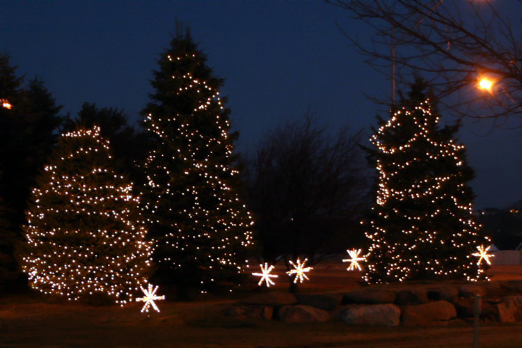 Holiday Outdoor Lighting - Traditional - Landscape - New York - by ...