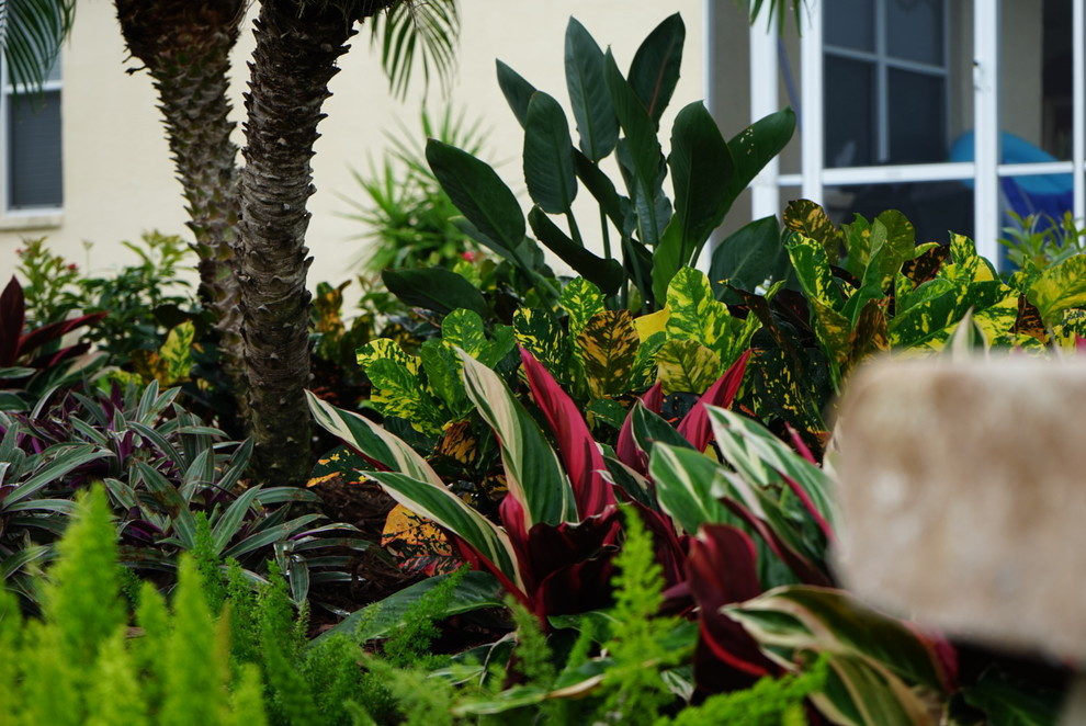Holloway's Backyard Makeover - Landscape - Tampa - by Paradise of ...
