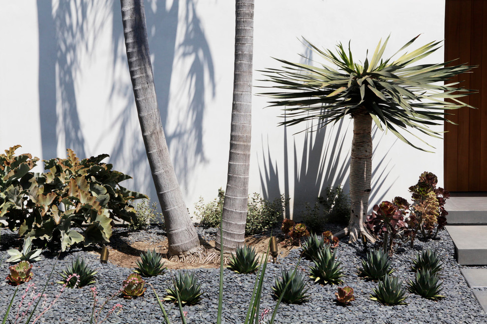 Hollywood - Contemporary - Landscape - Los Angeles - by Campion Walker ...