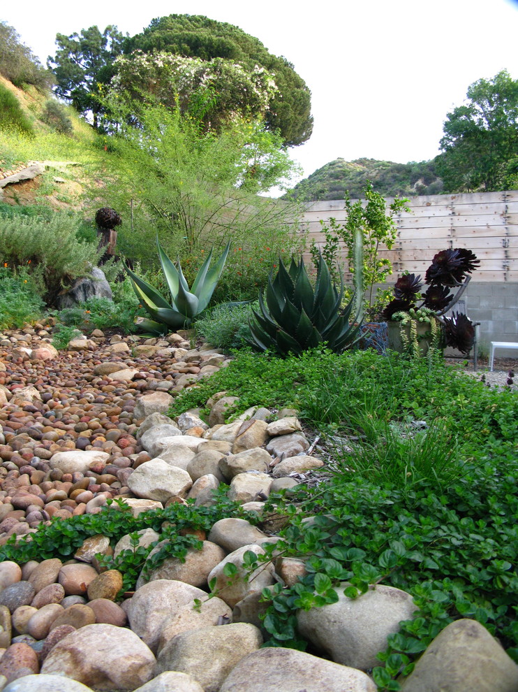 Hollywood Hills California Native Garden Sanctuary - Contemporary ...