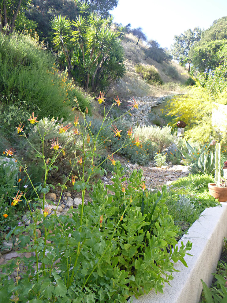 Hollywood Hills California Native Garden Sanctuary - Contemporary ...