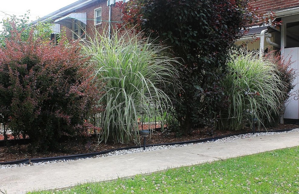 Home - Traditional - Landscape - Philadelphia - by CDH Designs LLC | Houzz