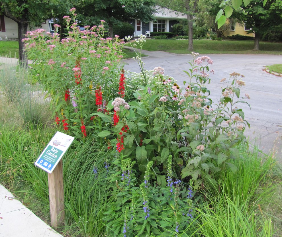 Home Landscape Using Only Native Plants - Contemporary - Garden ...