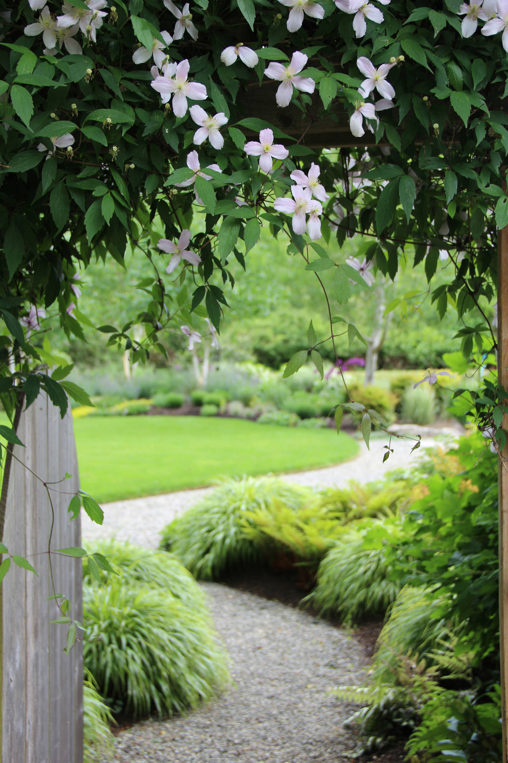 What to Do in the Garden Each Month | Houzz UK