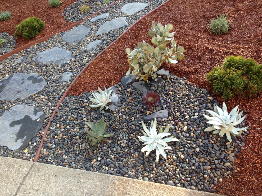 Hot Dry Patio - Mediterranean - Landscape - San Francisco - by User | Houzz