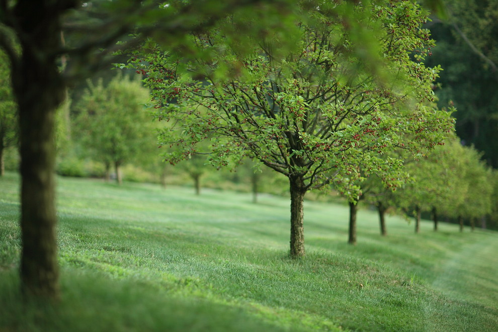 Hudson Valley Estate - Farmhouse - Landscape - New York - by Janice ...