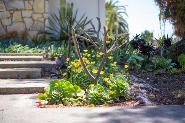 Professional Perspective Outdoor