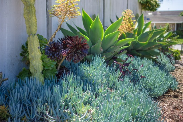 Professional Perspective Outdoor