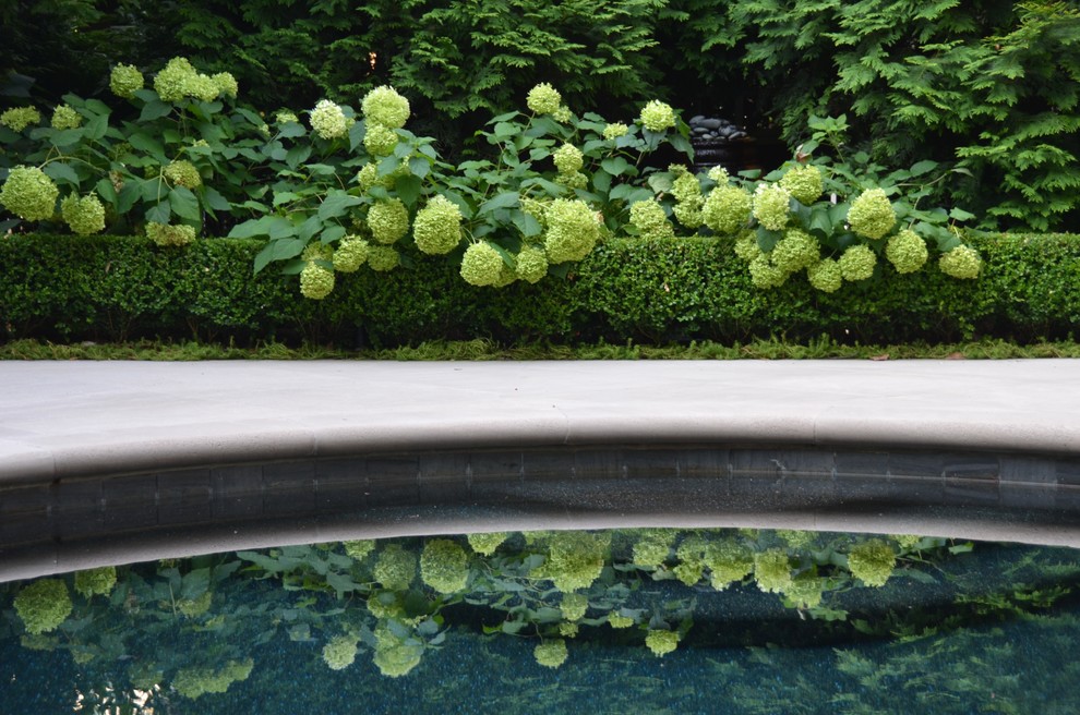 Hydrangeas and Boxwoods - Traditional - Landscape - Atlanta - by ...